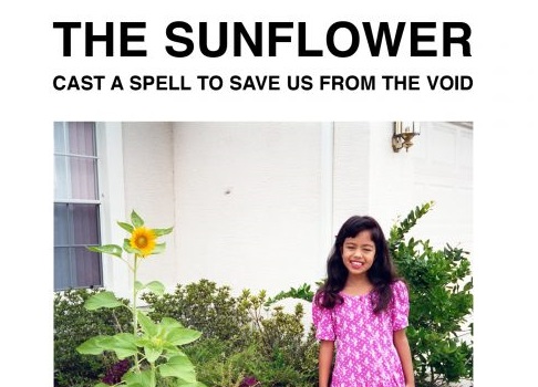 In Review: The Sunflower Cast A Spell To Save Us From The Void by ...